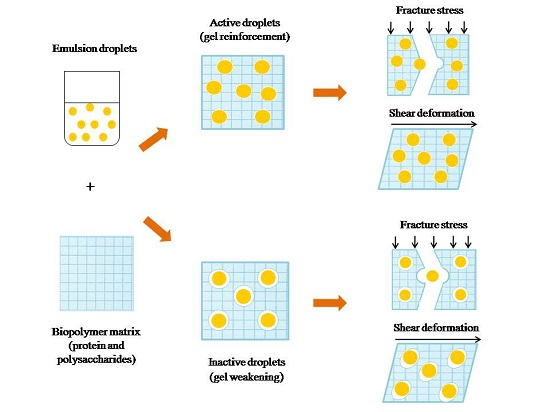 Gels | Free Full-Text | Rheology of Emulsion-Filled Gels Applied to the ...