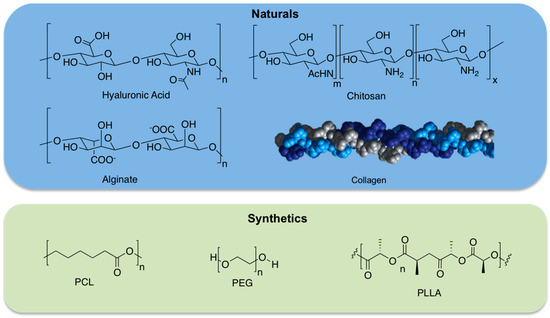 Bioresponsive Hydrogels: Chemical Strategies and Perspectives in Tissue ...