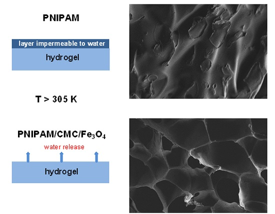 Gels | Free Full-Text | Surface Morphology at the Microscopic Scale ...