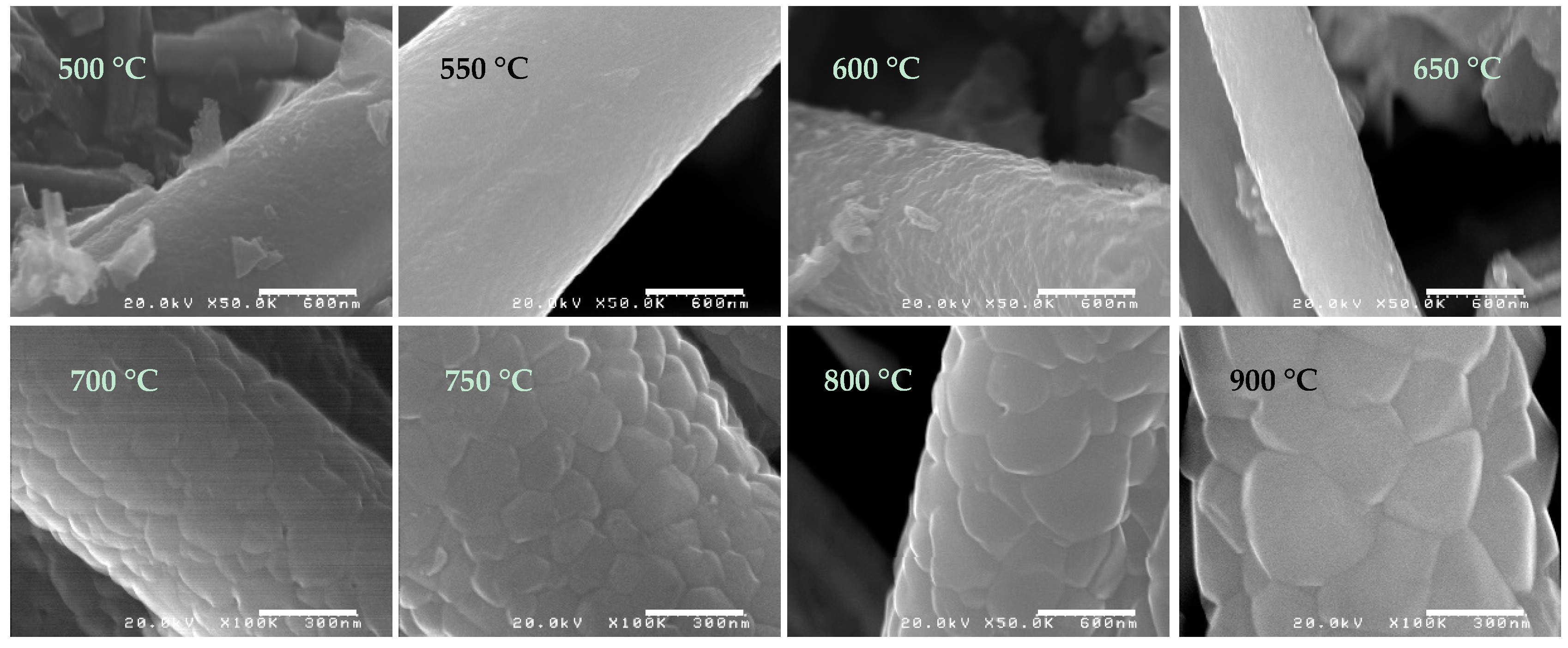 Metal Oxide/TiO2 Hybrid Nanotubes Fabricated through the Organogel Route