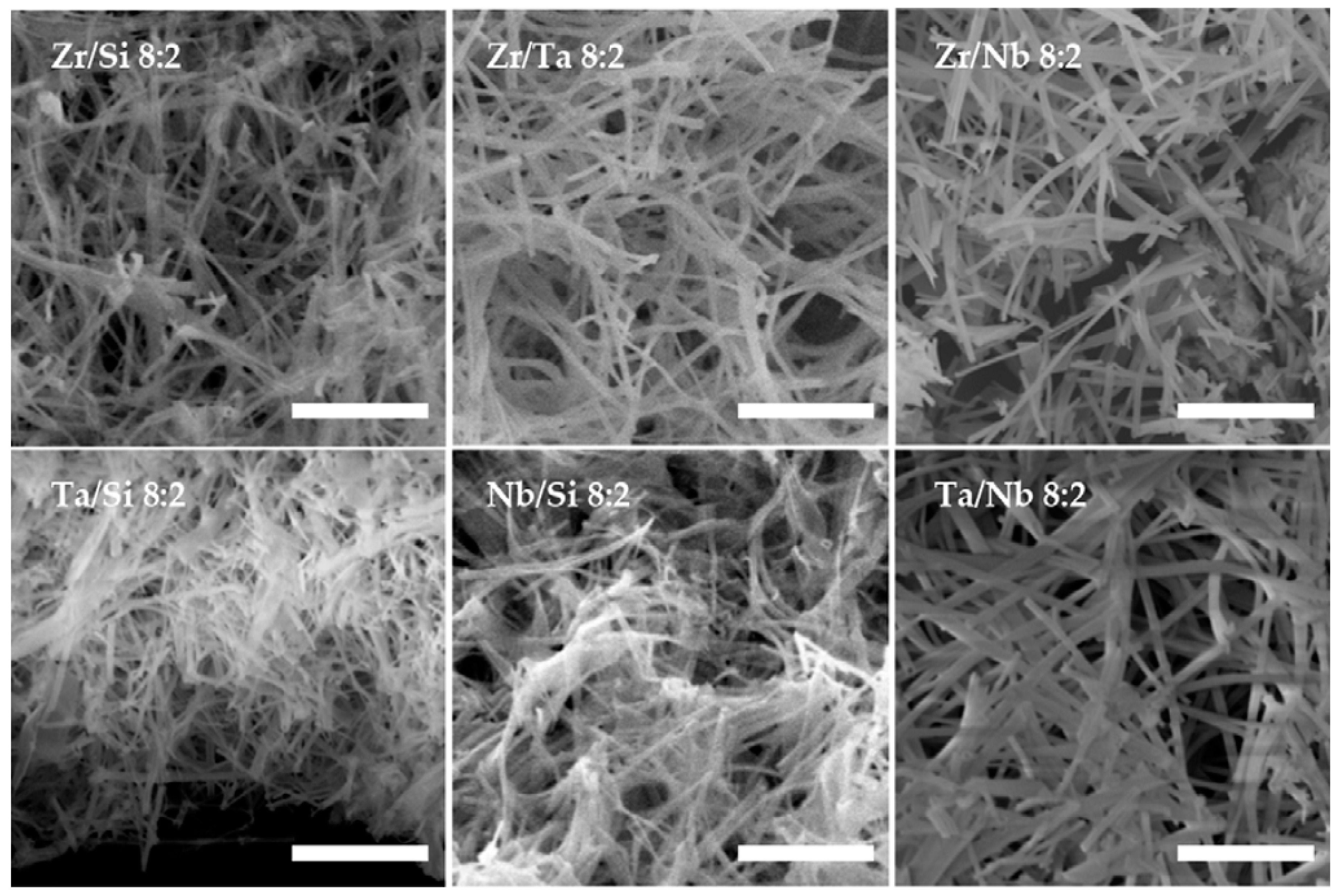 Metal Oxide/TiO2 Hybrid Nanotubes Fabricated through the Organogel Route