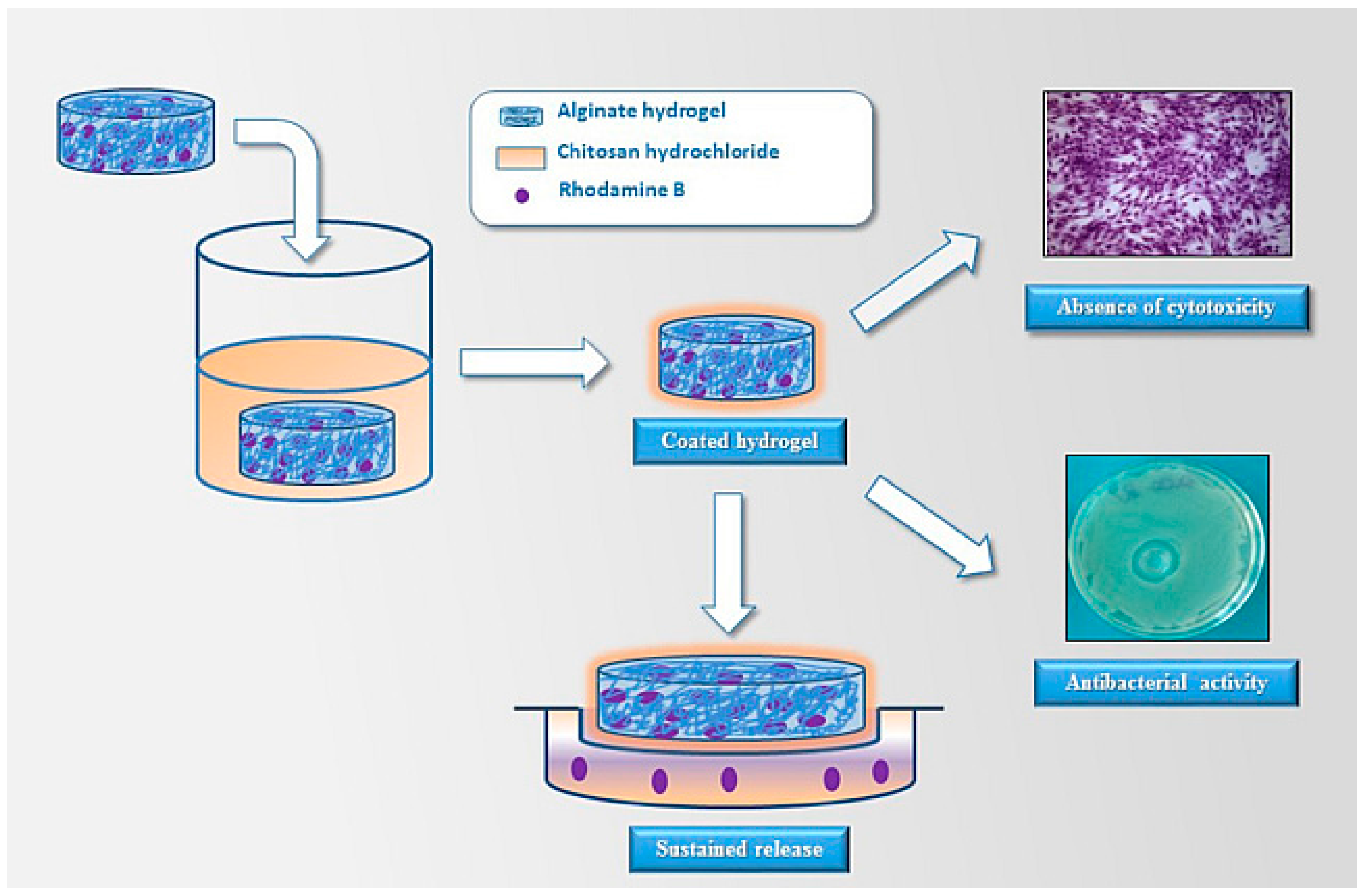 Gels | Free Full-Text | Polymeric Hydrogels as Technology Platform for ...