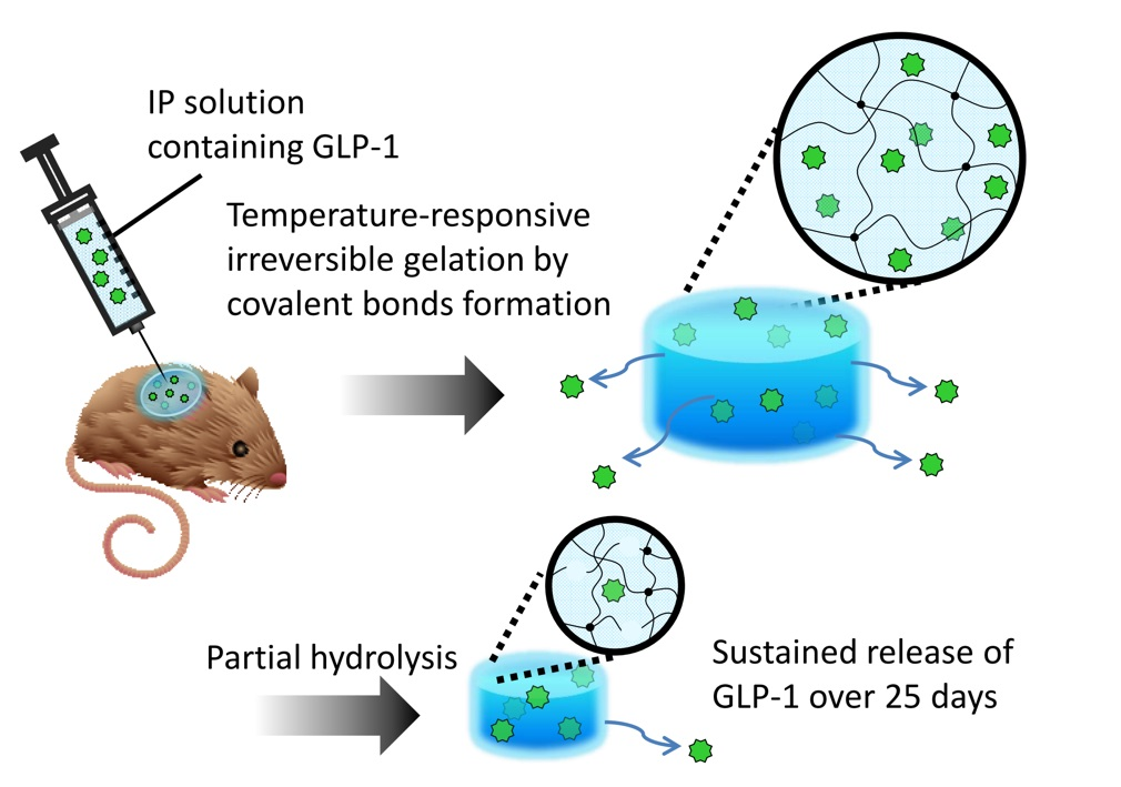 Gels | Free Full-Text | Peptide Drug Release Behavior from ...