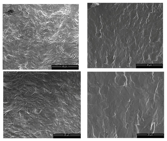 Gels | Special Issue : Rheology of Gels