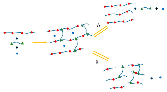 Hydrogels Based on Dynamic Covalent and Non Covalent Bonds: A Chemistry ...