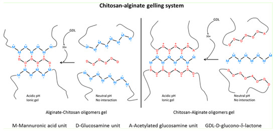 Concepts for Developing Physical Gels of Chitosan and of Chitosan ...