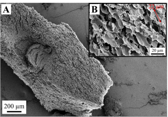 Porous Starch Materials via Supercritical- and Freeze-Drying