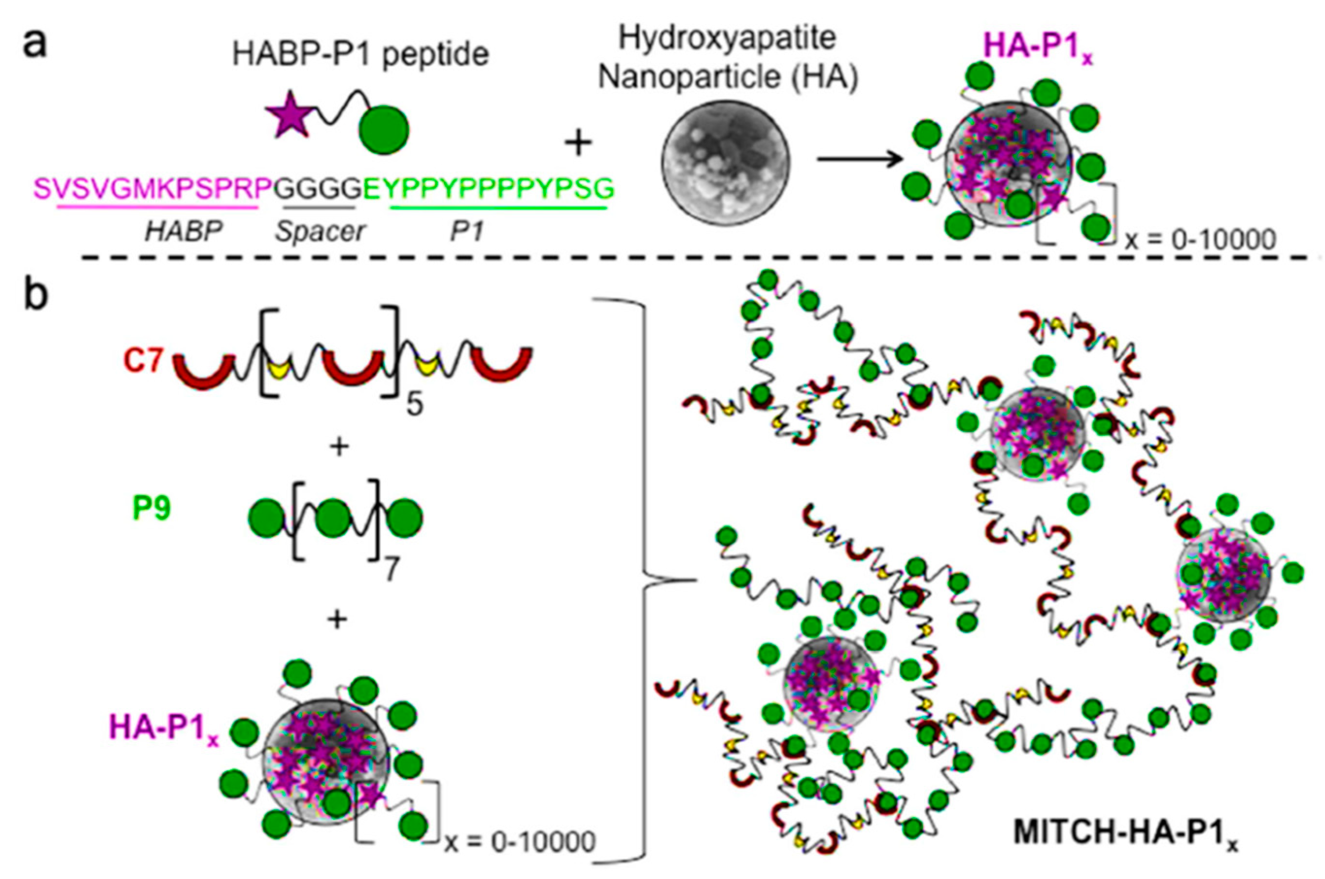 Gels | Free Full-Text | Peptide Self-Assembly into Hydrogels for ...