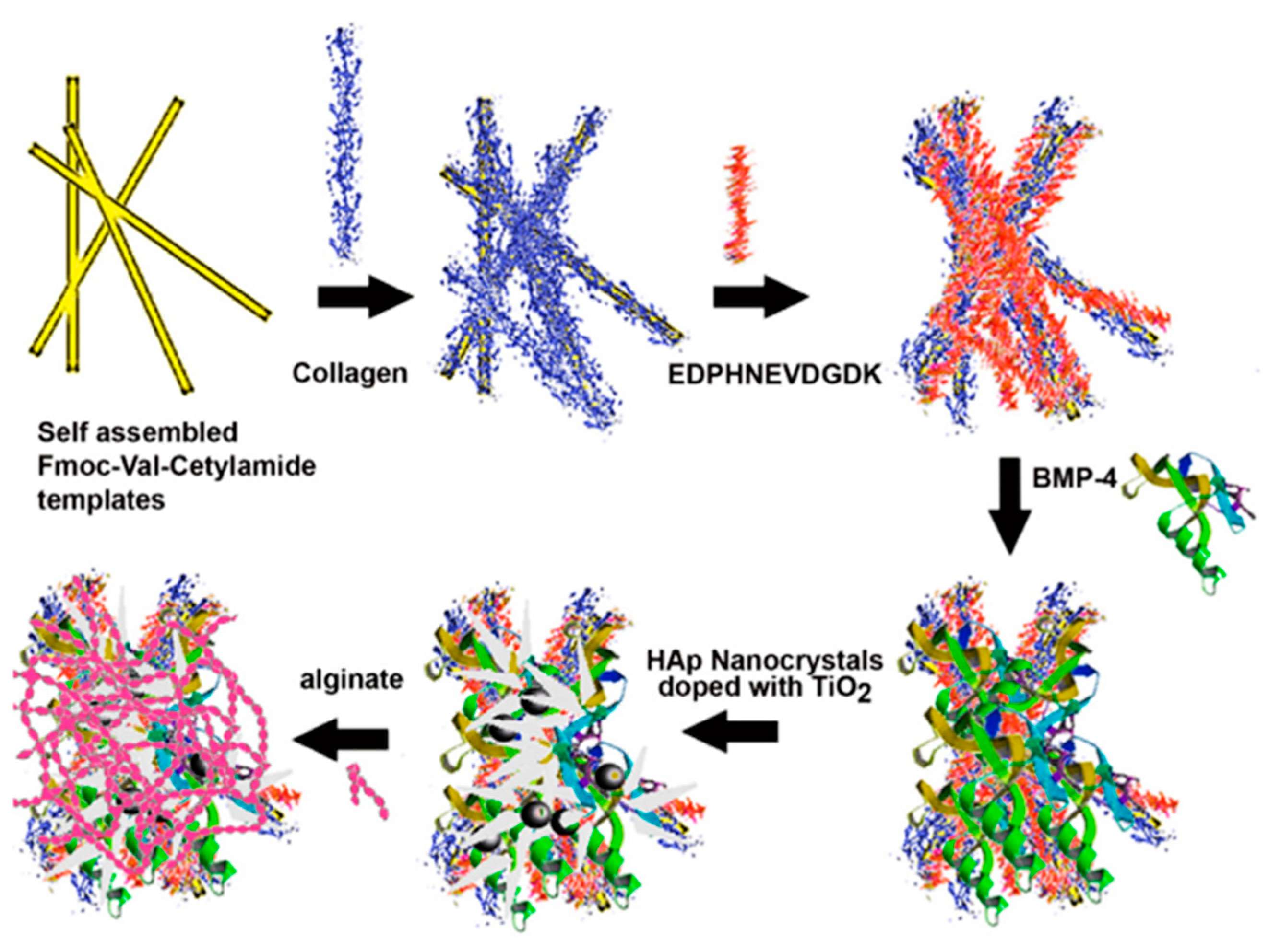 Peptide Self-Assembly into Hydrogels for Biomedical Applications ...