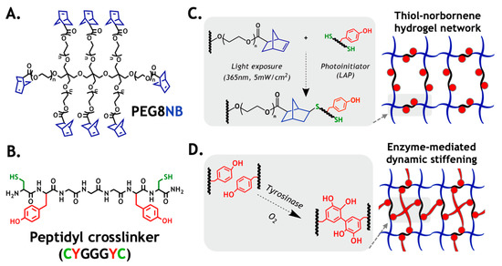 Gels | An Open Access Journal from MDPI