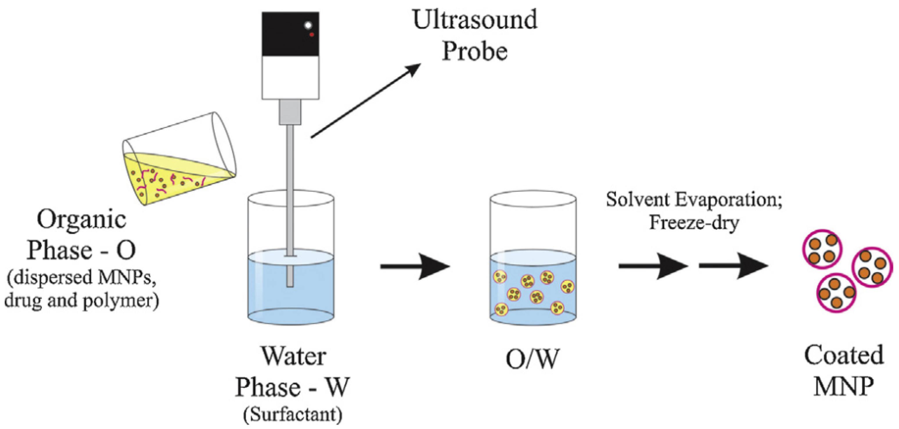 Coating and Functionalization Strategies for Nanogels and Nanoparticles ...
