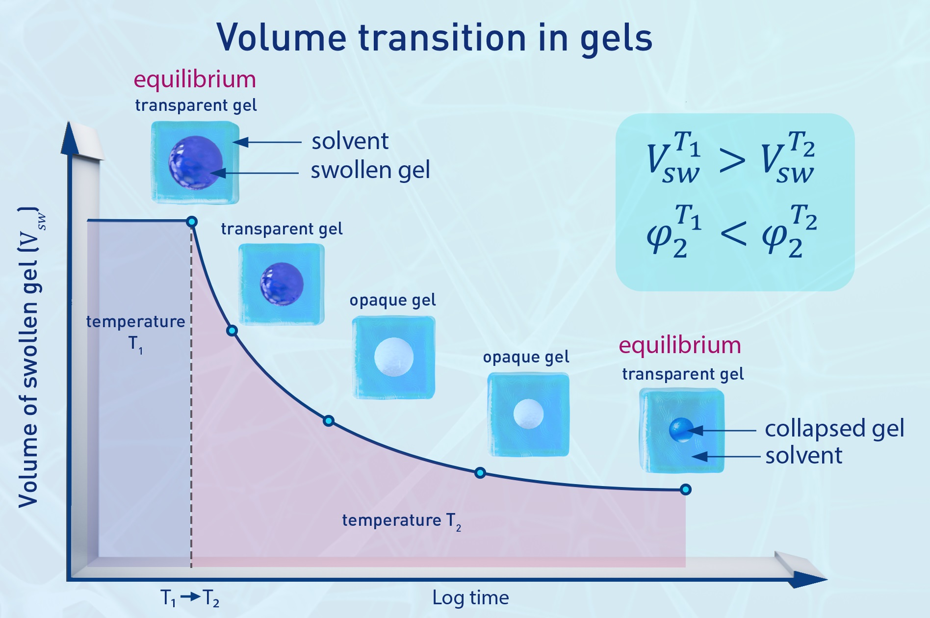 Gels | Free Full-Text | Volume Phase Transition in Gels: Its Discovery ...