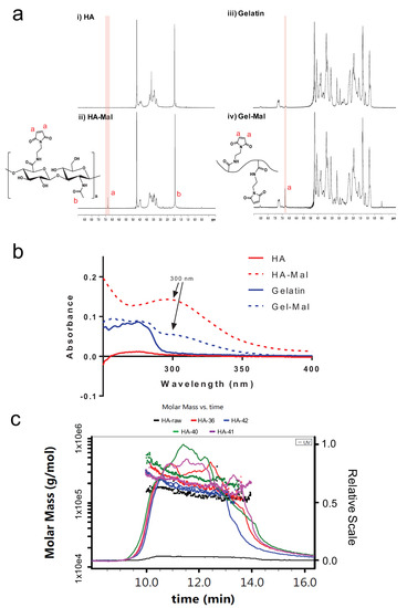 A Rapid Crosslinkable Maleimide-Modified Hyaluronic Acid and Gelatin ...