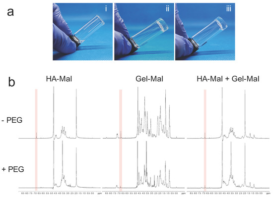 A Rapid Crosslinkable Maleimide-Modified Hyaluronic Acid and Gelatin ...