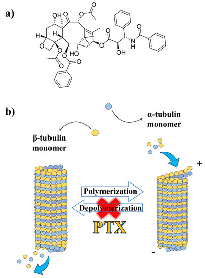 Gels | Free Full-Text | Recent Advances of Taxol-Loaded Biocompatible ...