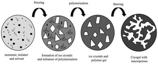 Injectable Cryogels in Biomedicine