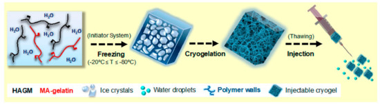 Injectable Cryogels in Biomedicine