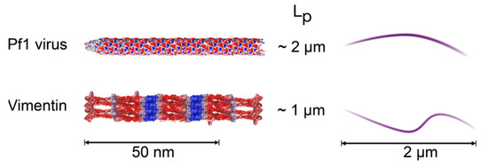 Gels | Special Issue : Polyelectrolyte Gels: Volume II