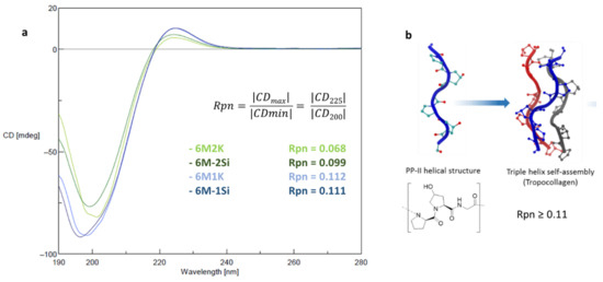 A Collagen-Mimetic Organic-Inorganic Hydrogel for Cartilage Engineering