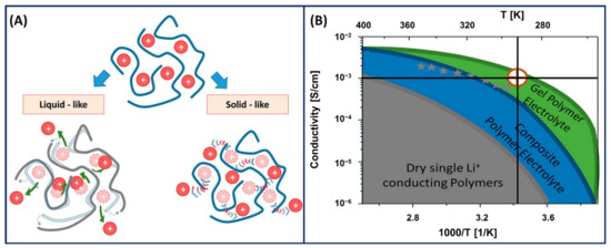 Polyelectrolyte Gels: Fundamentals, Fabrication and Applications