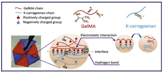 Polyelectrolyte Gels: Fundamentals, Fabrication and Applications