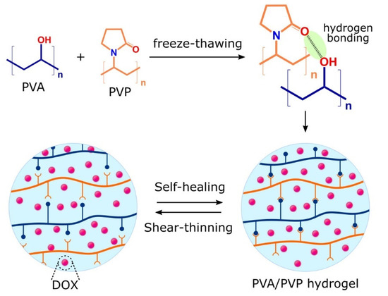 Development of a Polysaccharide-Based Hydrogel Drug Delivery System (DDS): An Update