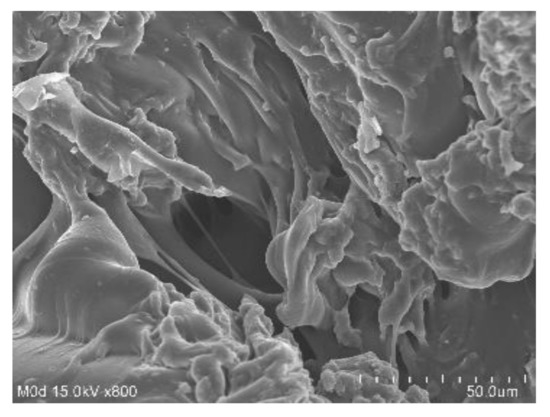 Gels | Special Issue : Gels Horizons: From Science to Smart Materials