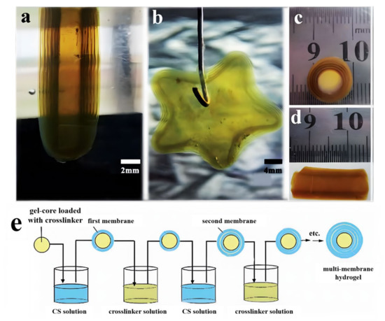 Research Progress in the Multilayer Hydrogels