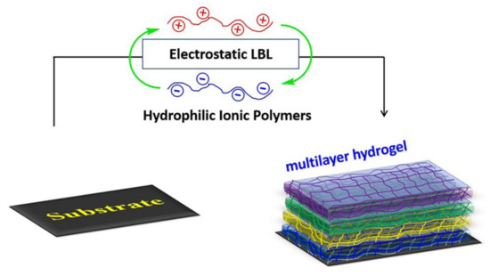 Research Progress in the Multilayer Hydrogels