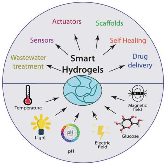 Hydrogels Classification According to the Physical or Chemical ...