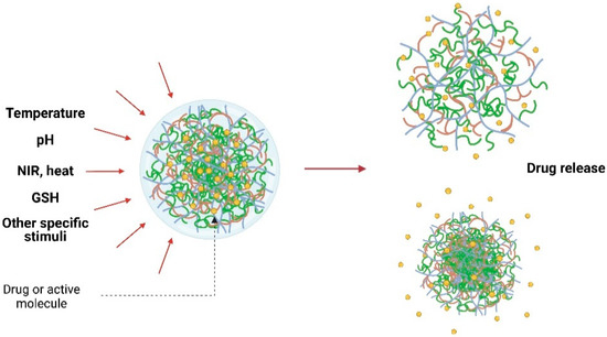 Multifunctional Polymeric Nanogels for Biomedical Applications