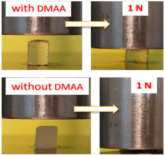 A Short Review on the N,N-Dimethylacrylamide-Based Hydrogels