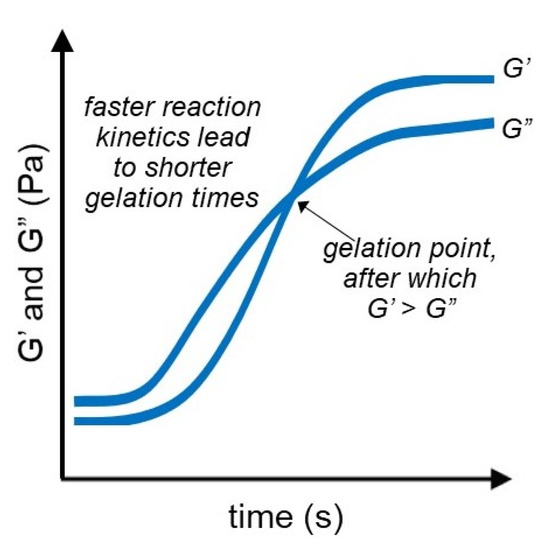 Relationship between Structure and Rheology of Hydrogels for Various Applications