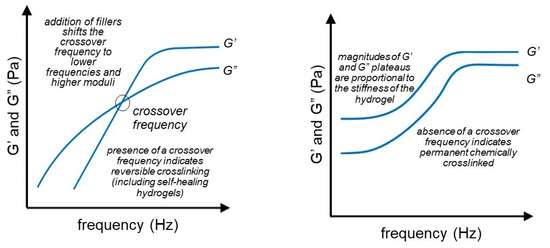 Relationship between Structure and Rheology of Hydrogels for Various ...
