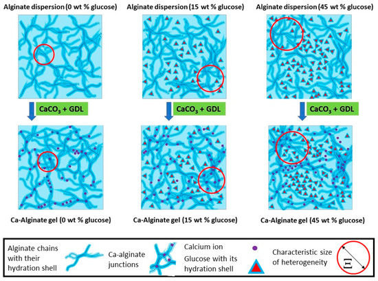 Impact of Glucose on the Nanostructure and Mechanical Properties of ...
