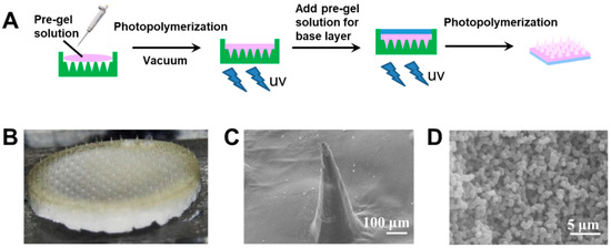 A Porous Reservoir-Backed Boronate Gel Microneedle for Efficient Skin ...