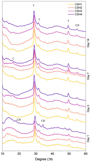 Characterization of Calcium Silicate Hydrate Gels with Different ...