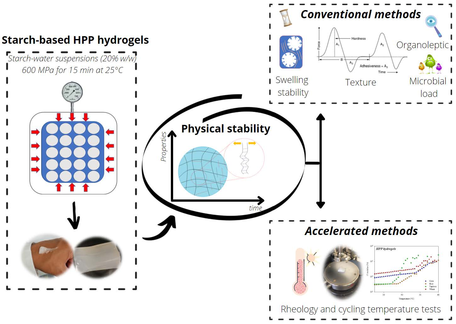Gels | Free Full-Text | Evaluation of the Physical Stability of Starch ...