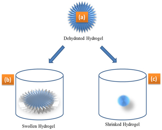 Versatility of Hydrogels: From Synthetic Strategies, Classification, and Properties to ...
