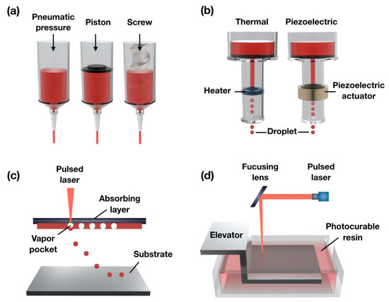 Natural Hydrogel-Based Bio-Inks for 3D Bioprinting in Tissue ...