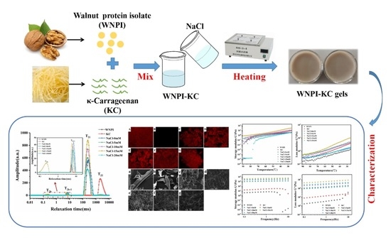 Gels | Free Full-Text | Effect of NaCl on the Rheological, Structural ...