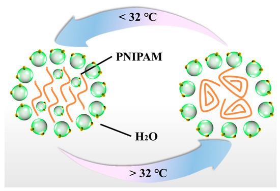 Poly(N-Isopropylacrylamide) Based Electrically Conductive Hydrogels and ...