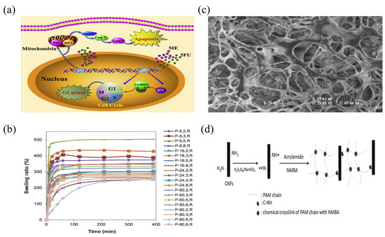 Current Understanding of Hydrogel for Drug Release and Tissue Engineering