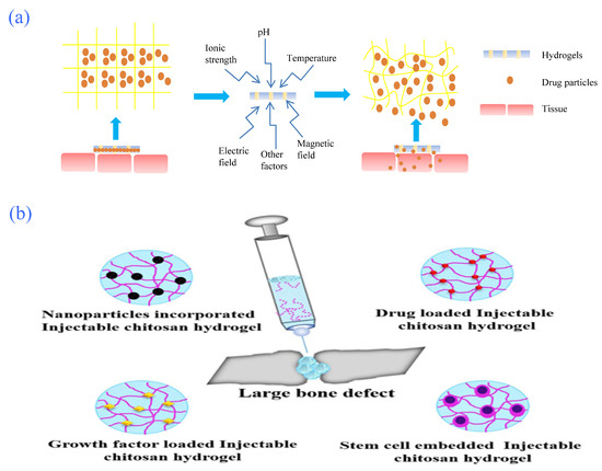 Current Understanding of Hydrogel for Drug Release and Tissue Engineering