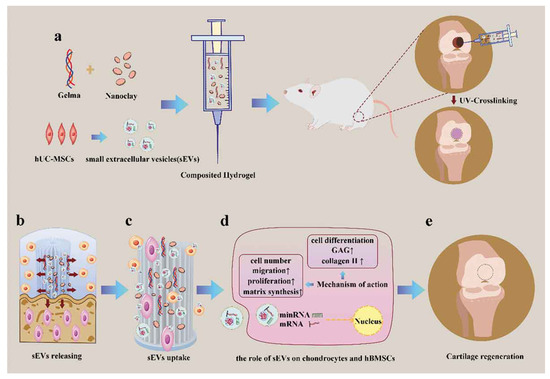 Hydrogels for Exosome Delivery in Biomedical Applications