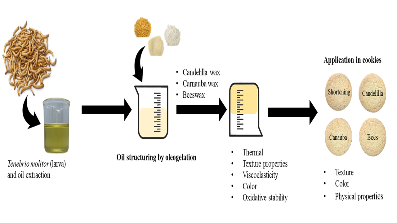 Gels | Free Full-Text | The Characteristic of Insect Oil for a ...
