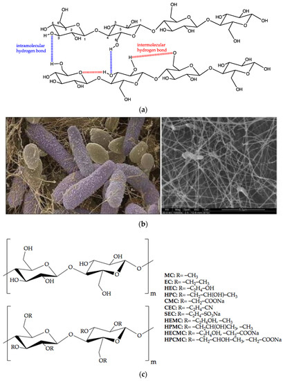 Advances in Cellulose-Based Hydrogels for Biomedical Engineering: A ...