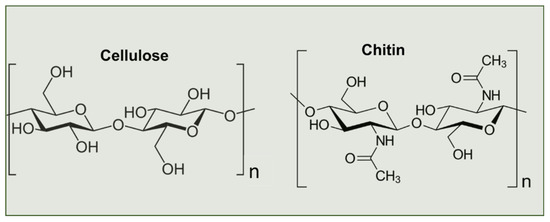 Chitosan: Sources, Processing and Modification Techniques