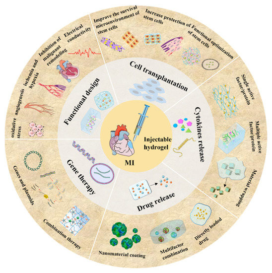 Research Advances of Injectable Functional Hydrogel Materials in the Treatment of Myocardial ...