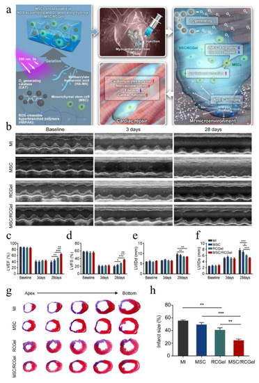 Research Advances of Injectable Functional Hydrogel Materials in the Treatment of Myocardial ...